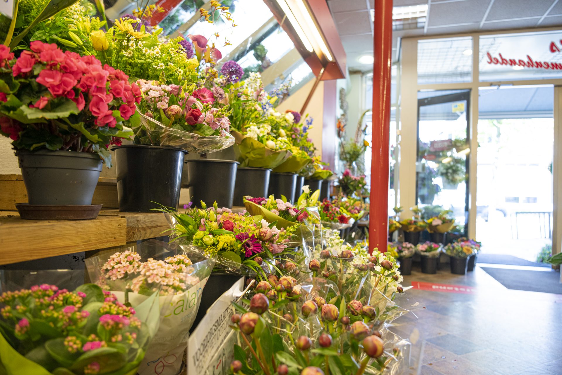 Ypma's Bloemenhandel - Franeker